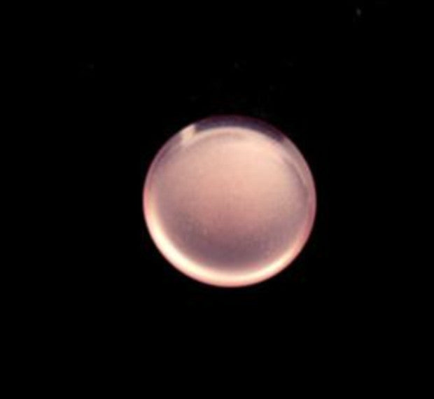 B14215 14mm Dark Rose Pink Pearlised Polyester Shank button – Ribbonmoon